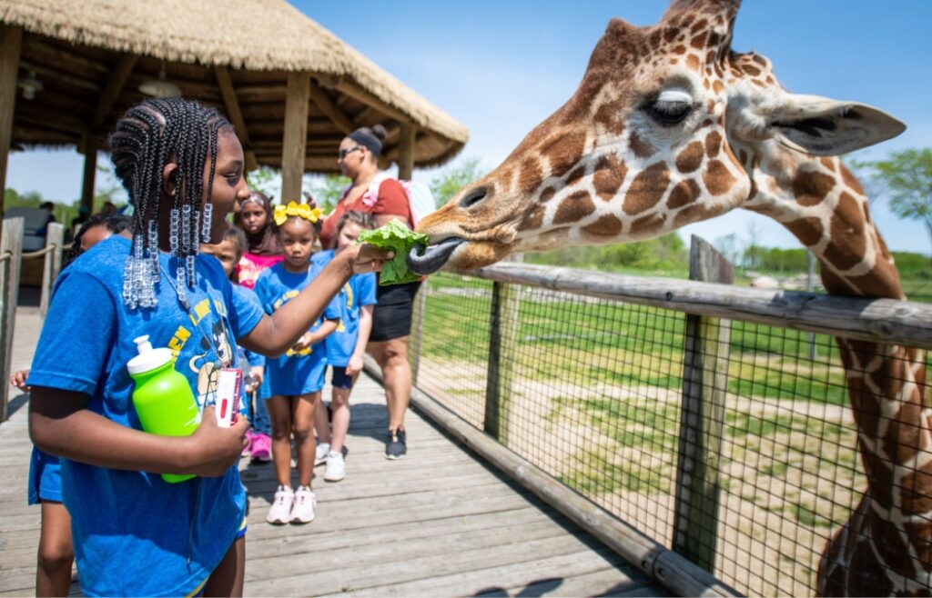 Guide to 10 Family-Friendly Things to Do This Summer in Columbus ...