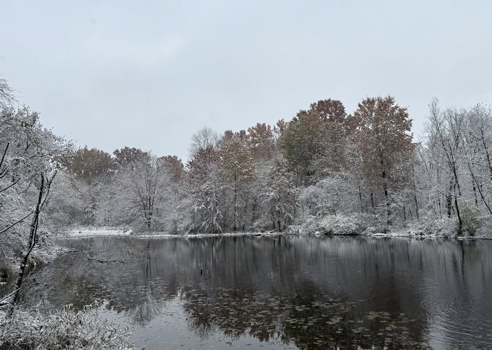 Wildlife Watch Night | Step Out Columbus